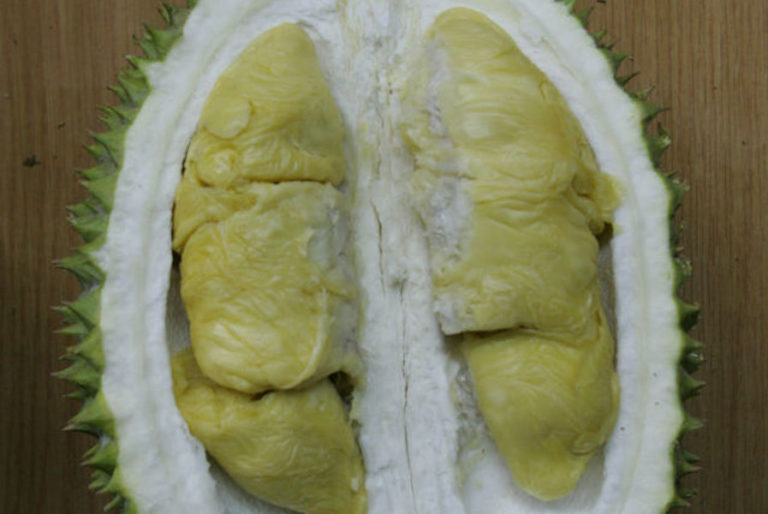 12 Types of Durians and How to Pick the Best One – Blog – YouTrip Singapore