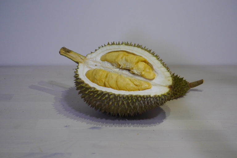 12 Types of Durians and How to Pick the Best One – Blog – YouTrip Singapore