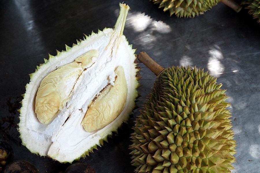 12 Types of Durians and How to Pick the Best One – Blog – YouTrip Singapore