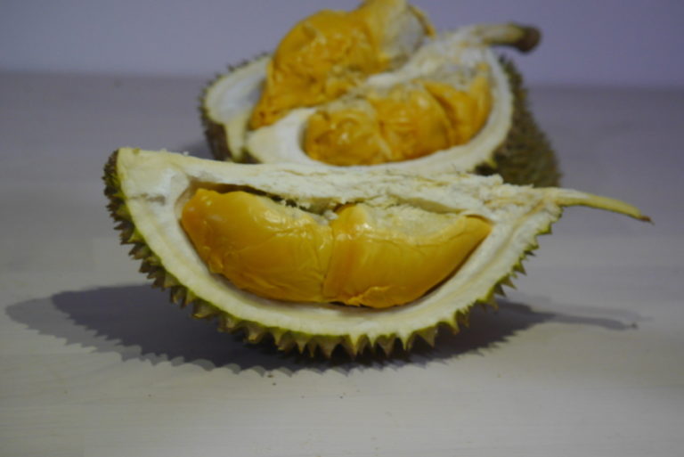 12 Types of Durians and How to Pick the Best One – Blog – YouTrip Singapore