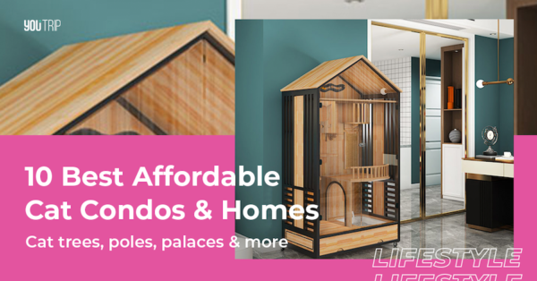 10 Best Affordable Cat Condos & Houses From Taobao – Blog – YouTrip ...