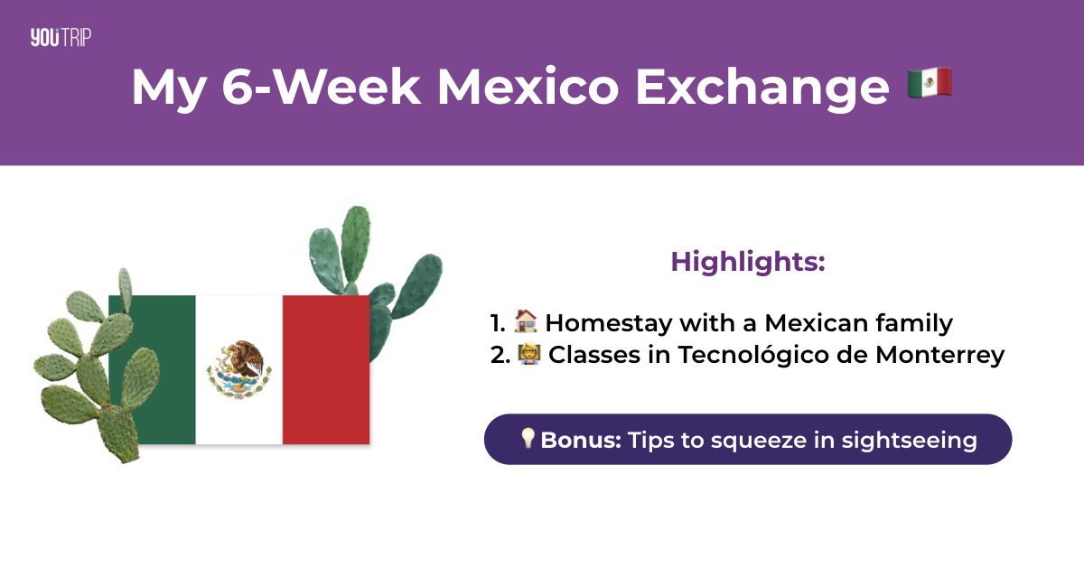 My 6-Week Mexico Summer Exchange & Homestay – Blog – YouTrip Singapore