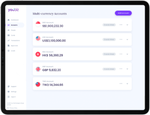 Introducing YouBiz, The Smartest Corporate Card For SMEs To Earn ...