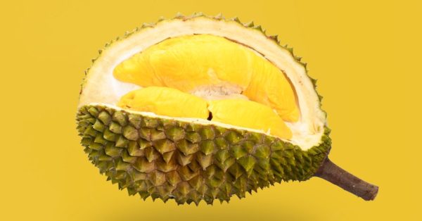 12 Types of Durians and How to Pick the Best One – Blog – YouTrip Singapore