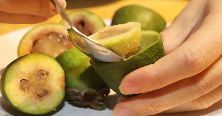 YouTrip's New Zealand Food Guide: How To Eat Like A Kiwi — YouTrip ...
