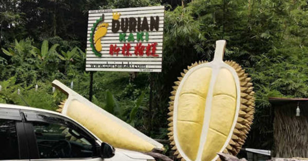 YouTrip's Guide To The Best Penang Durian Stalls 2022 – YouTrip Singapore