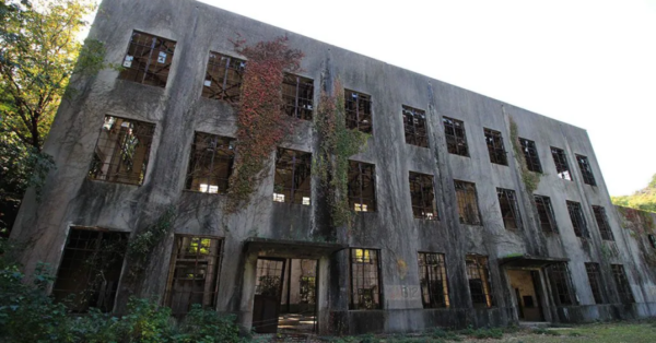 YouTrip's Guide To Visiting Japan's Rabbit Island 2023 — Blog YouTrip ...