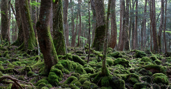 Iconic Horror Movie Locations Around The World To Visit – YouTrip Singapore
