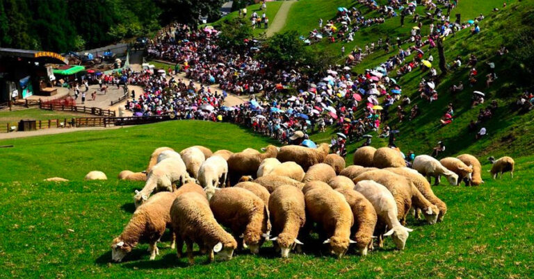10 Affordable Leisure Farmstays In Taiwan 2024 – YouTrip Singapore