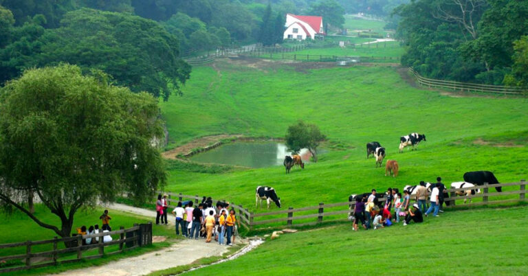 10 Affordable Leisure Farmstays In Taiwan 2024 – YouTrip Singapore