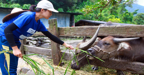 10 Affordable Leisure Farmstays In Taiwan 2024 – YouTrip Singapore