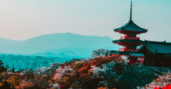 The Ultimate 14-Day Japan Itinerary: Tokyo, Kyoto, Osaka Guide ...