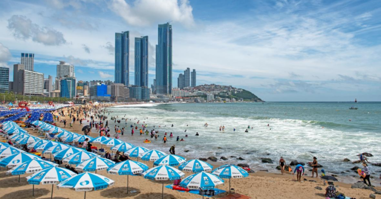 Korea Weather Guide: Best Time To Visit Korea By Month 2024 – YouTrip ...