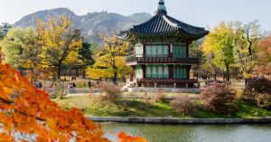 T-Money Card Guide: The Essential Korea Transportation Card For ...